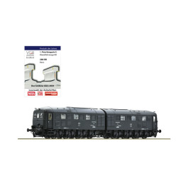 78114 Diesel-electric double locomotive D311.01, DWM